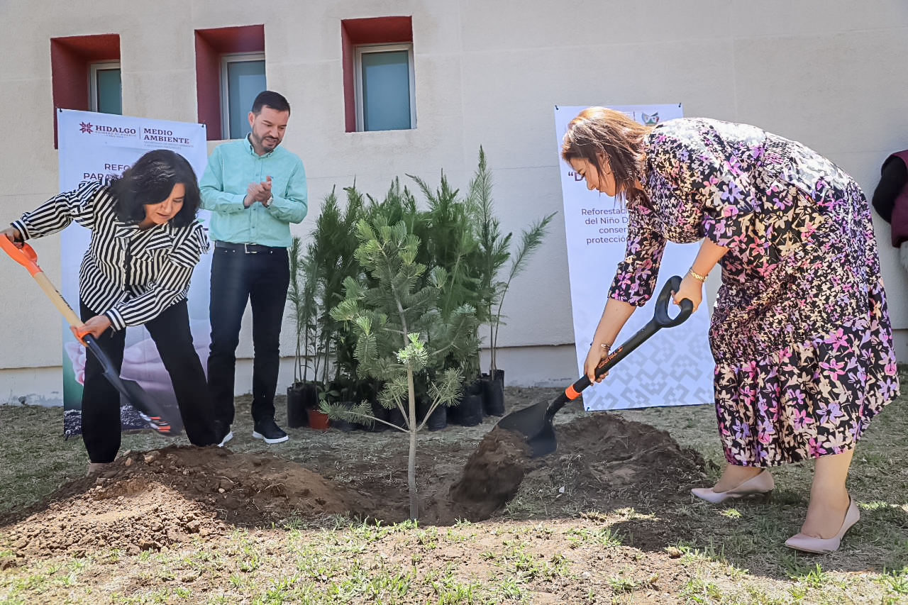 Implementan programas de reforestación y preservación de la Tuza en ...